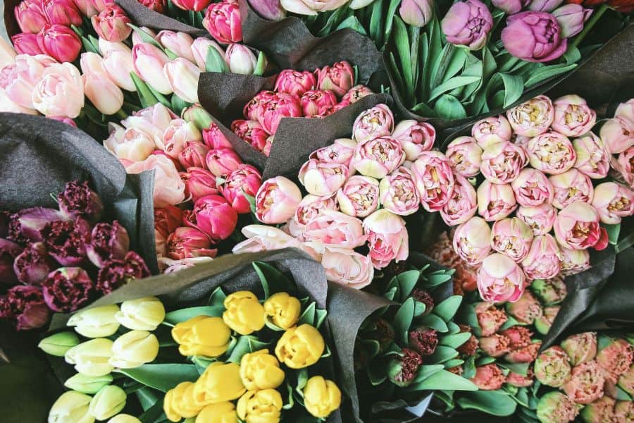 Lurdy ️ história, zjavenie, mapa, naživo a zájazdy