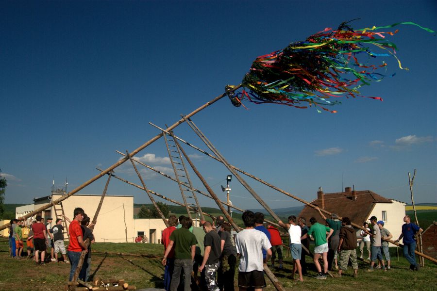 Nahuby sk 🔍️ aktuálny výskyt húb na Slovensku, atlas húb