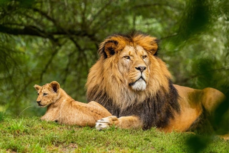 Malkia park ️ cenník, otváracie hodiny, zľavomat, recenzie