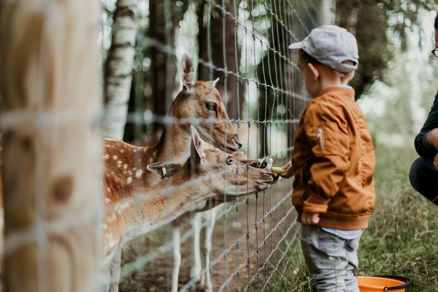 Malkia park ️ cenník, otváracie hodiny, zľavomat, recenzie