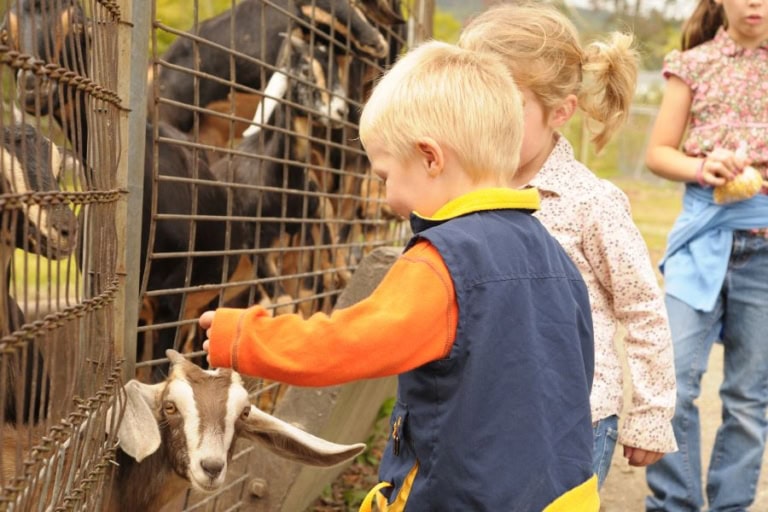 ZOO Zlín ️ vstupné, otváracie hodiny, mapa, zvieratá