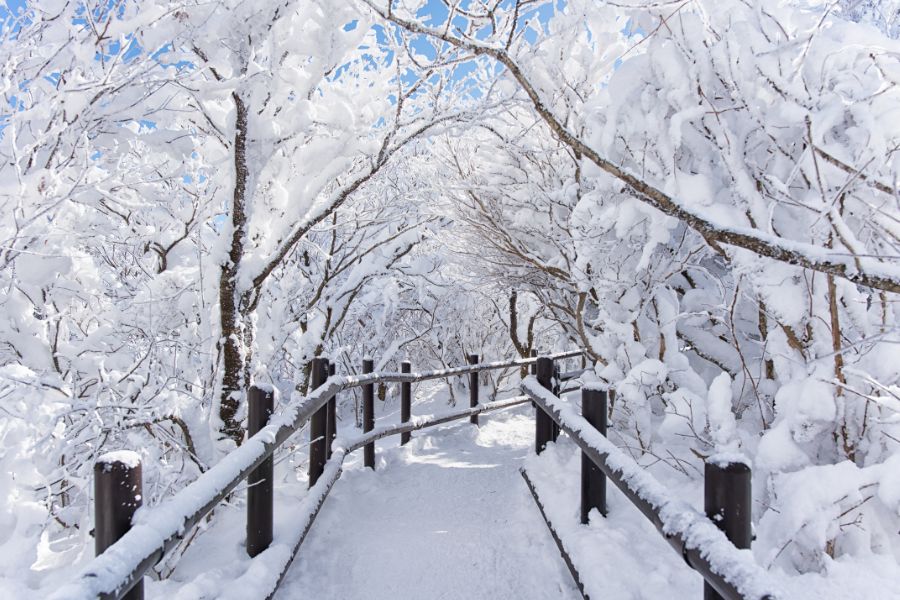 Zimný slnovrat 2025 ️ význam, zvyky, tradície a slovania